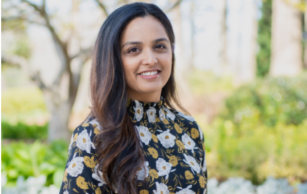 Suwanee artist Neha Patel reflects on life as an Indian American ...