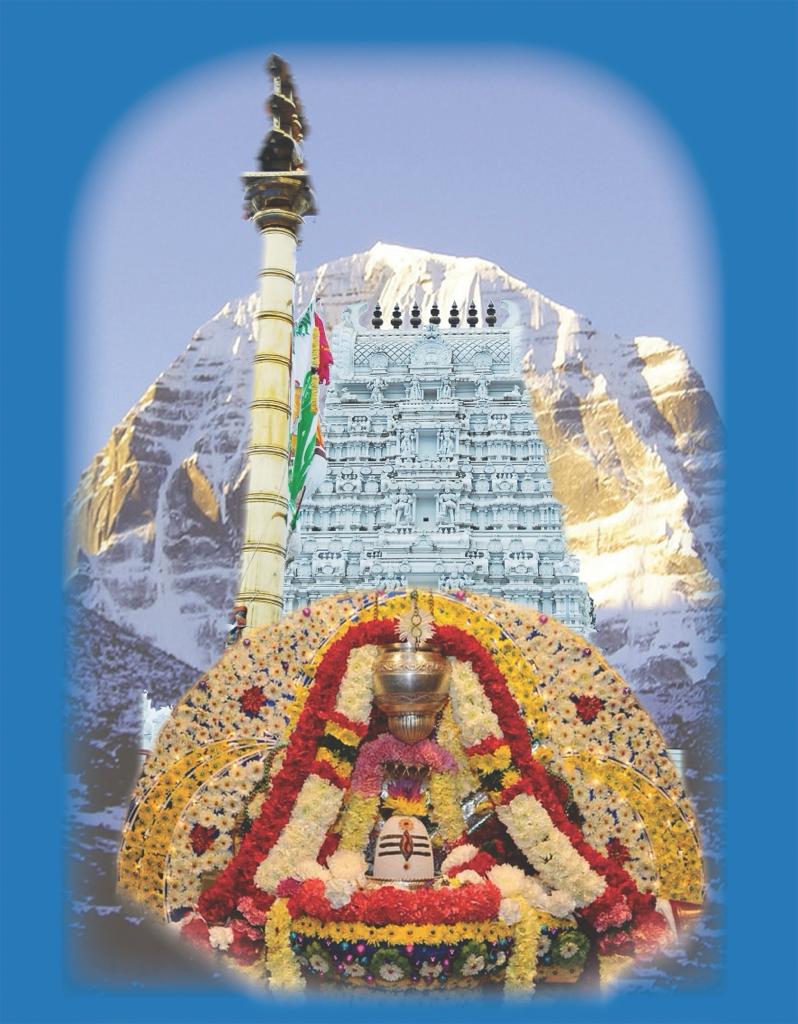 Did you know why HTA is performing the Sri Medha Dakshinamurthy Yagam ...