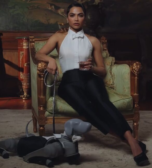 Indian-American Entrepreneur Mona Patel Steals the Show at 2025 Met ...